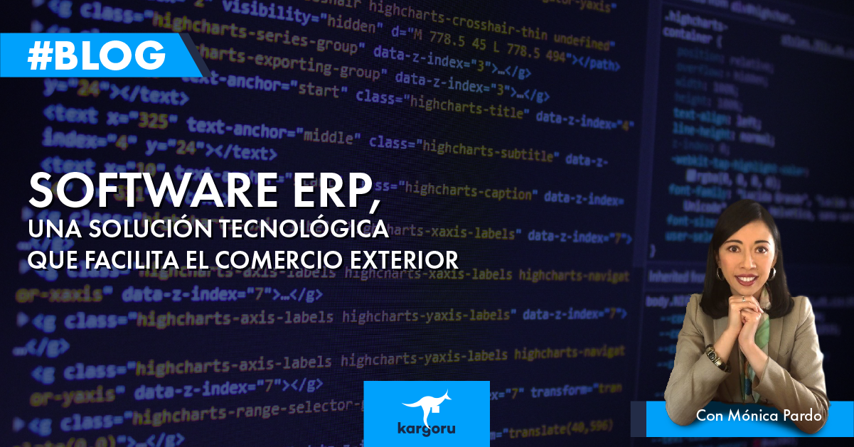 Software ERP, una solución tecnológica que facilita el comercio ...